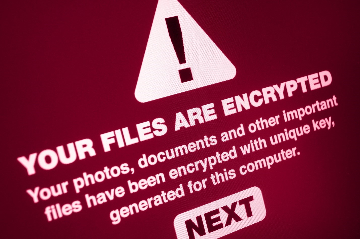 7 Tips to Prevent Ransomware | Network Wrangler – Tech Blog 7 Tips to Prevent Ransomware | Network Wrangler – Tech Blog